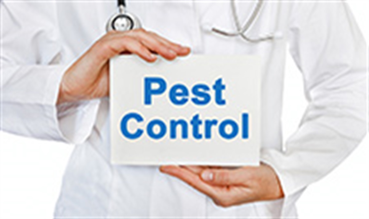 Pest Control - Allegheny County, PA