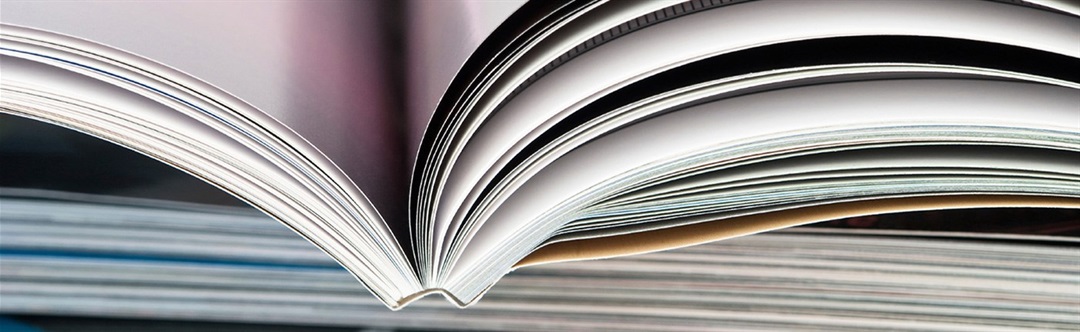 Professional Services Review Committee - Allegheny County, PA